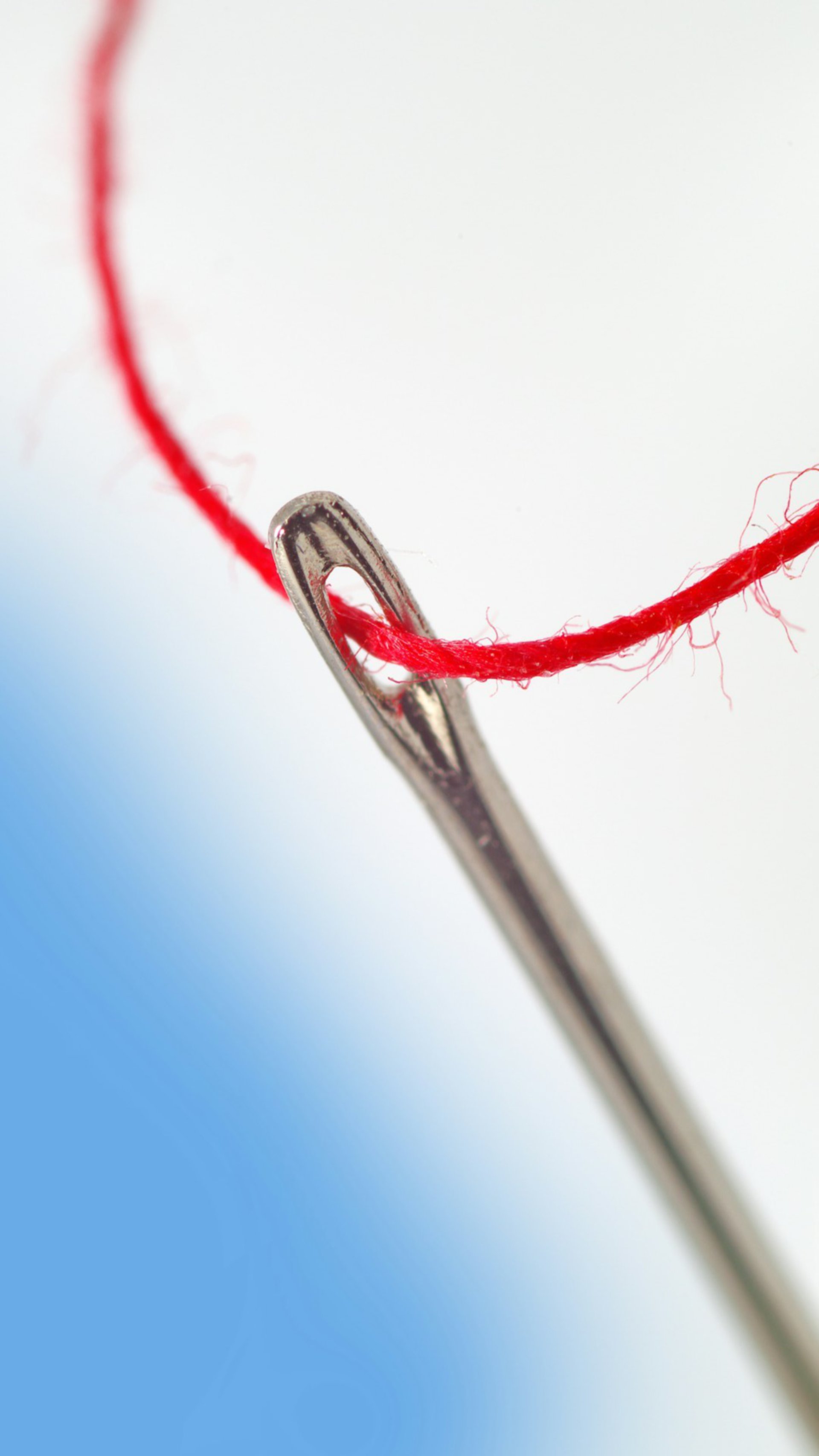 Anatomie zum Anfassen: Leistenbruch - DocCheck