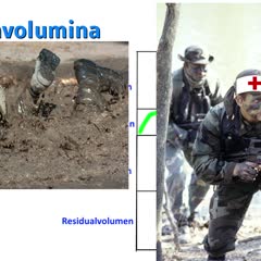 Atemzugvolumen - DocCheck Flexikon