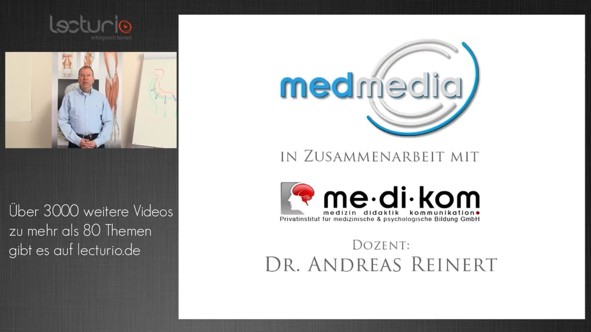 Harntrakt Anatomie - DocCheck