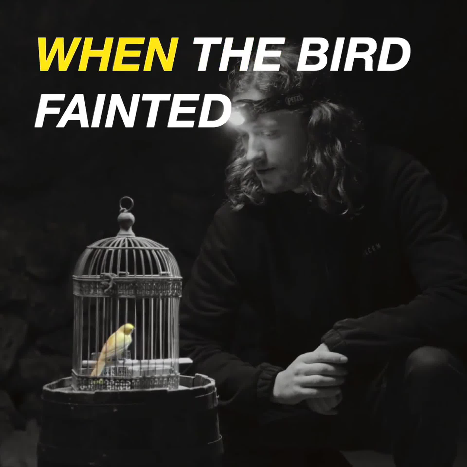 Canairi - Luftqualitätsensor explainer - DocCheck