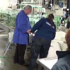 Enukleation - DocCheck Flexikon